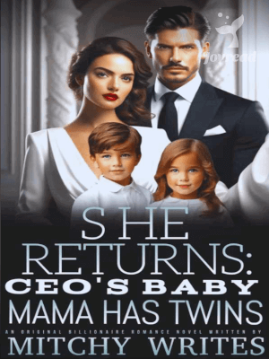 Chapter 17 - Possessive Daddy,She Returns: CEO'S Ex-wife Has Twins @ Joyread